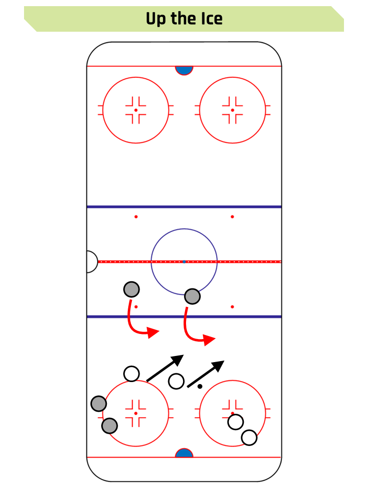 Pro Quick Draw for Hockey